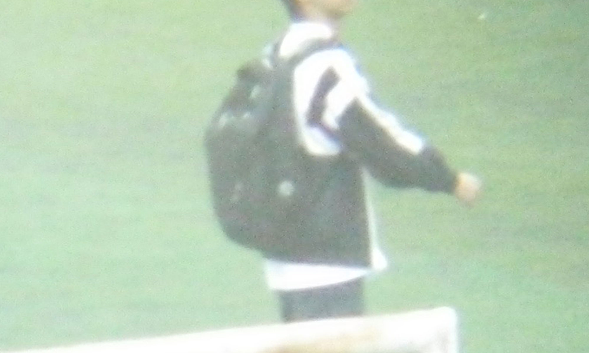 Mac操作系统上的ss客户端：ShadowsocksX-NG – Twisted Meadows